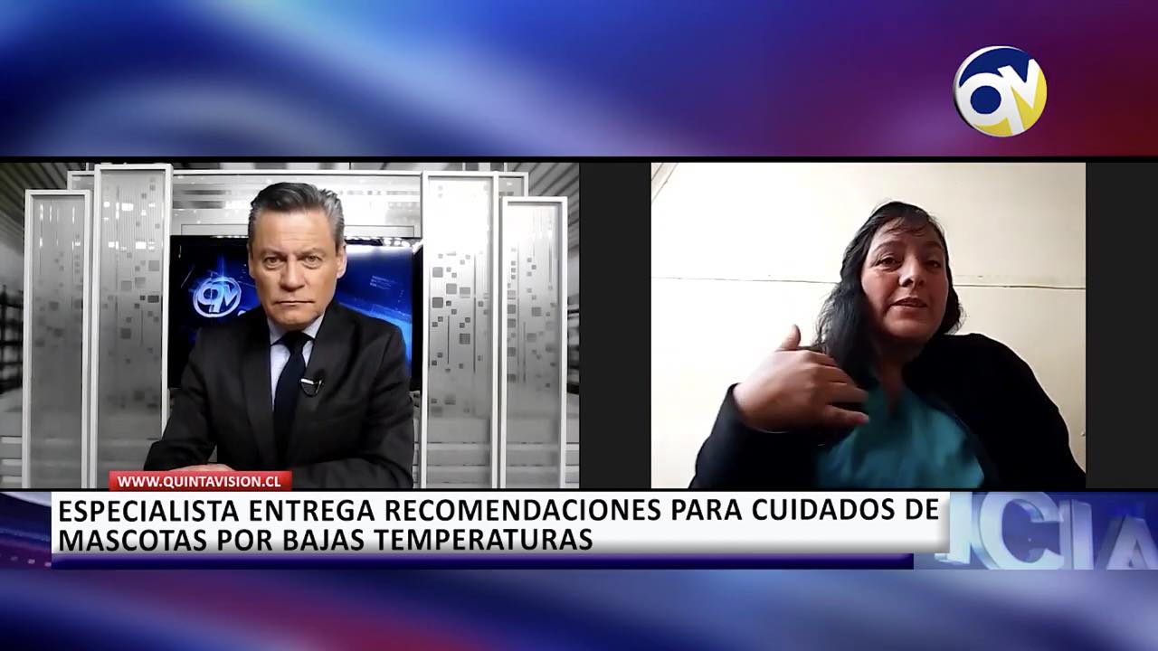 Entrevista Catherine Uribe - Quinta Visión Televisión